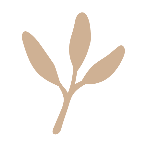 Beige leaf graphic | high quality element