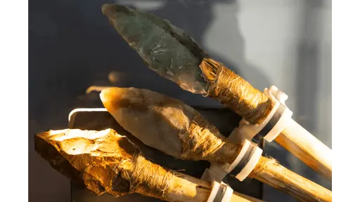 Close up of spears | royalty free image