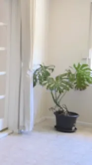 Chicken recipe - step 5 [00:06] licensed footage